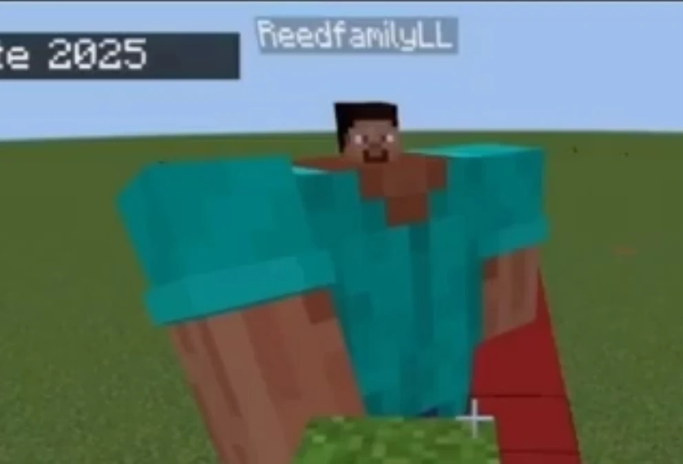 My minecraft avatar | Fandom