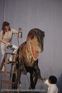 Allosaurus Movie | 3-D Dinosaur Adventure Wiki | Fandom