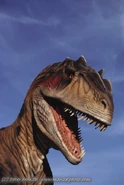 Allosaurus Movie | 3-D Dinosaur Adventure Wiki | Fandom