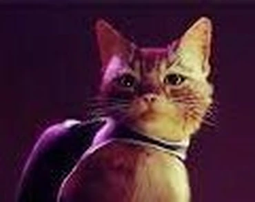 goofy pfp time | Fandom