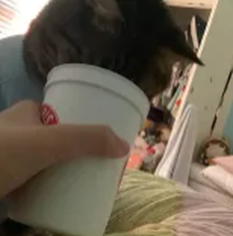 just take these :sob: | Fandom