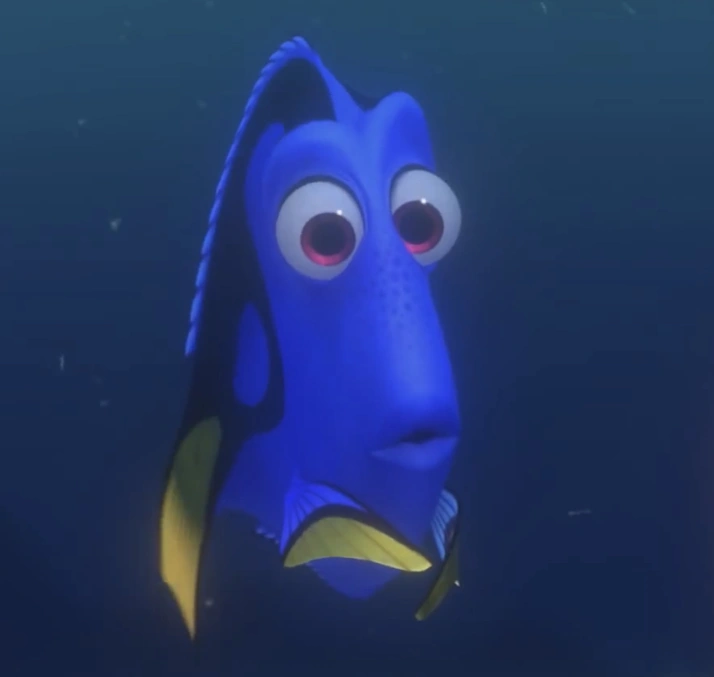 Regal Tang Dory The Blue Tang Quality Marine