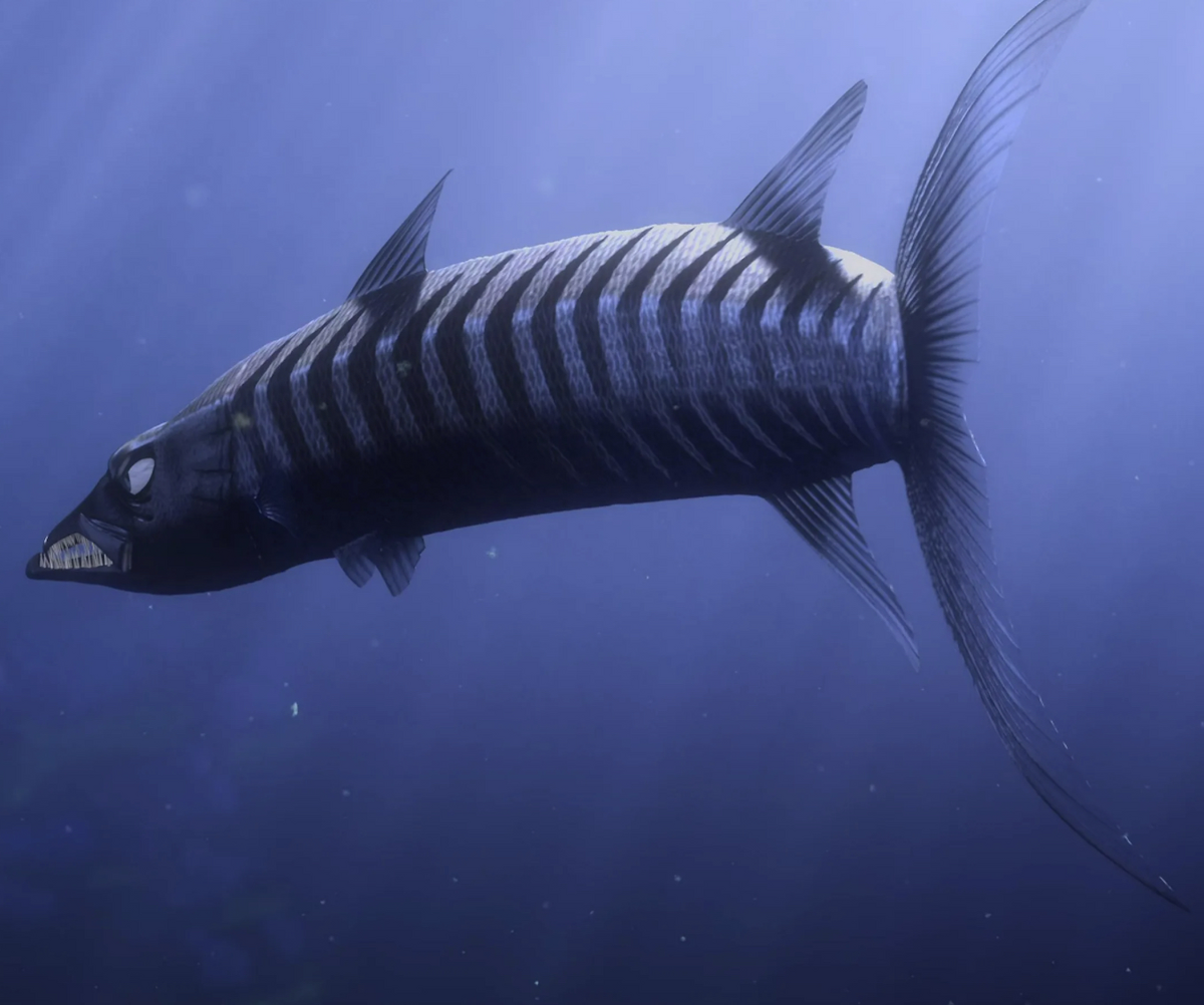 Barracuda Finding Nemo The 3d Computer Animated Wiki Fandom