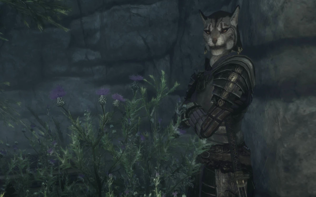 S’vashni | 3dnpc Wiki | Fandom