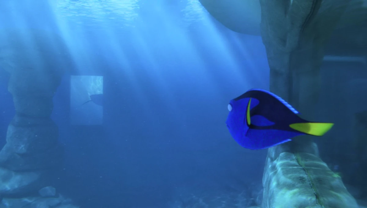 Destiny An-Whale Shark/Gallery/Animation-Screencaps | The 3D-Computer ...