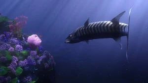 Barracuda (Finding Nemo)/Gallery/Animation-Screencaps | The 3D-Computer ...