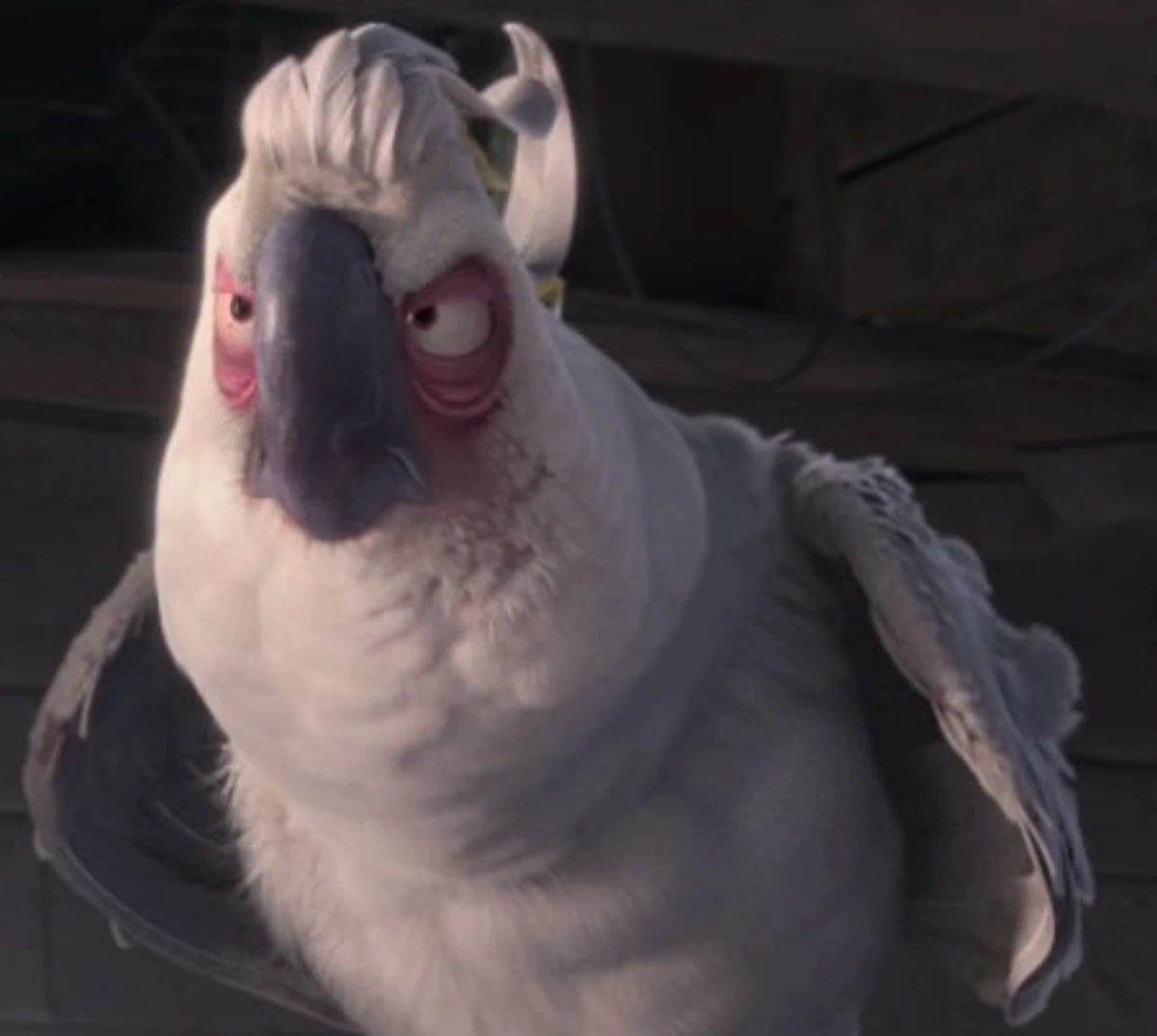 Nigel (Rio-Media Franchise) | The 3D-Computer-Animated Wiki | Fandom