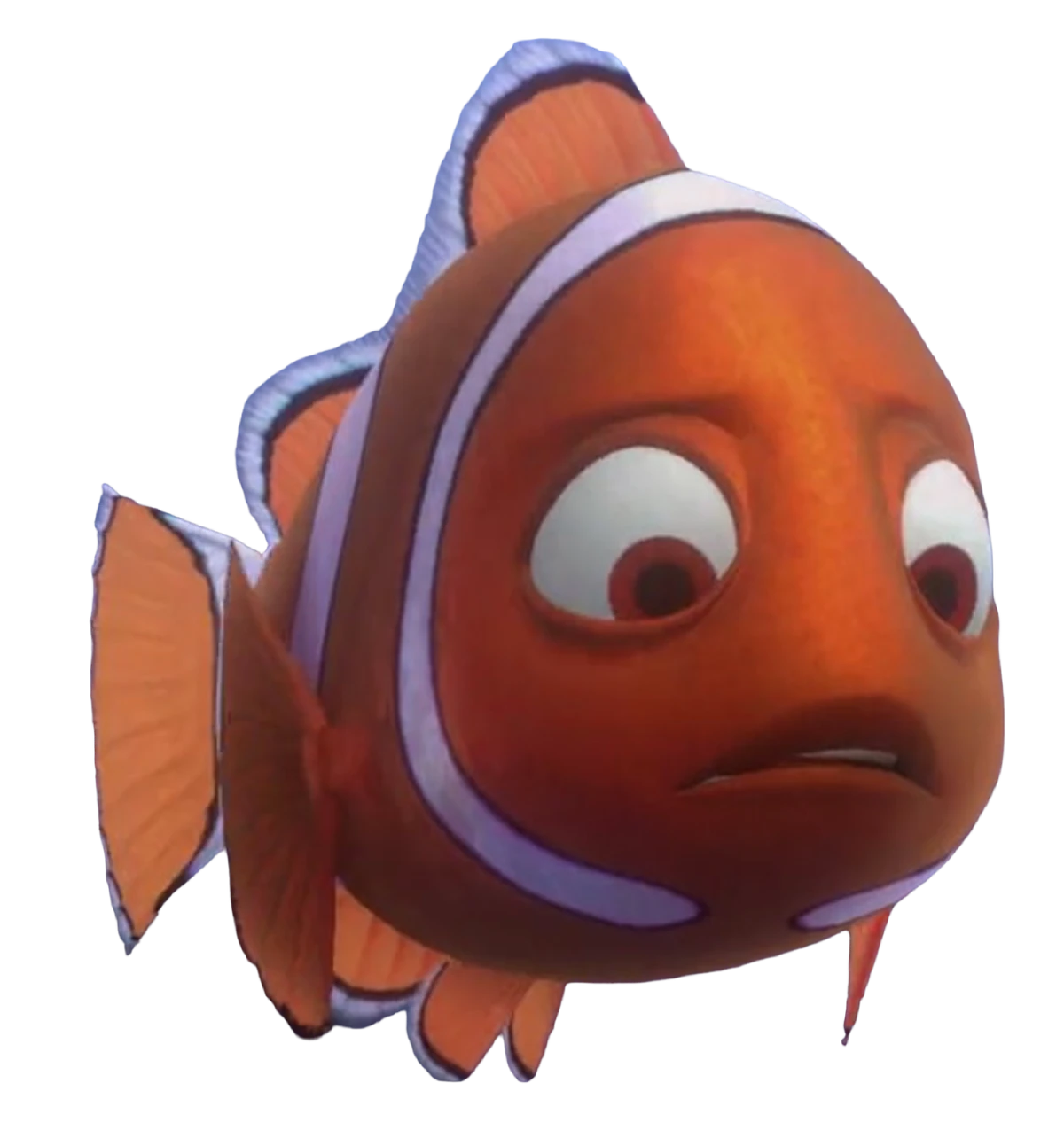 Coral The-Clownfish Female | The 3D-Computer-Animated Wiki | Fandom