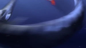 Barracuda (Finding Nemo)/Gallery/Animation-Screencaps | The 3D-Computer ...
