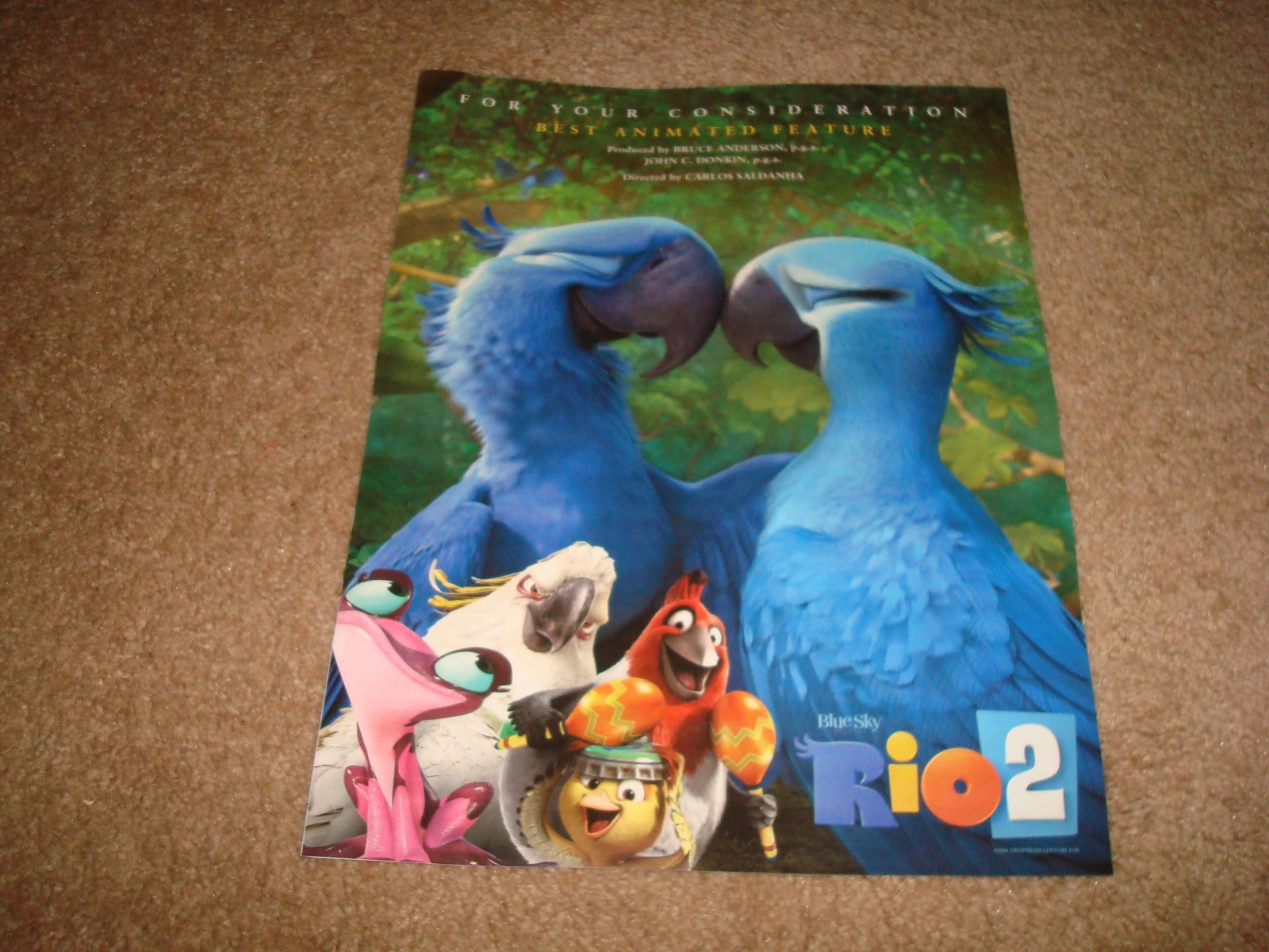 Rio Franchise | The 3D-Computer-Animated Wiki | Fandom