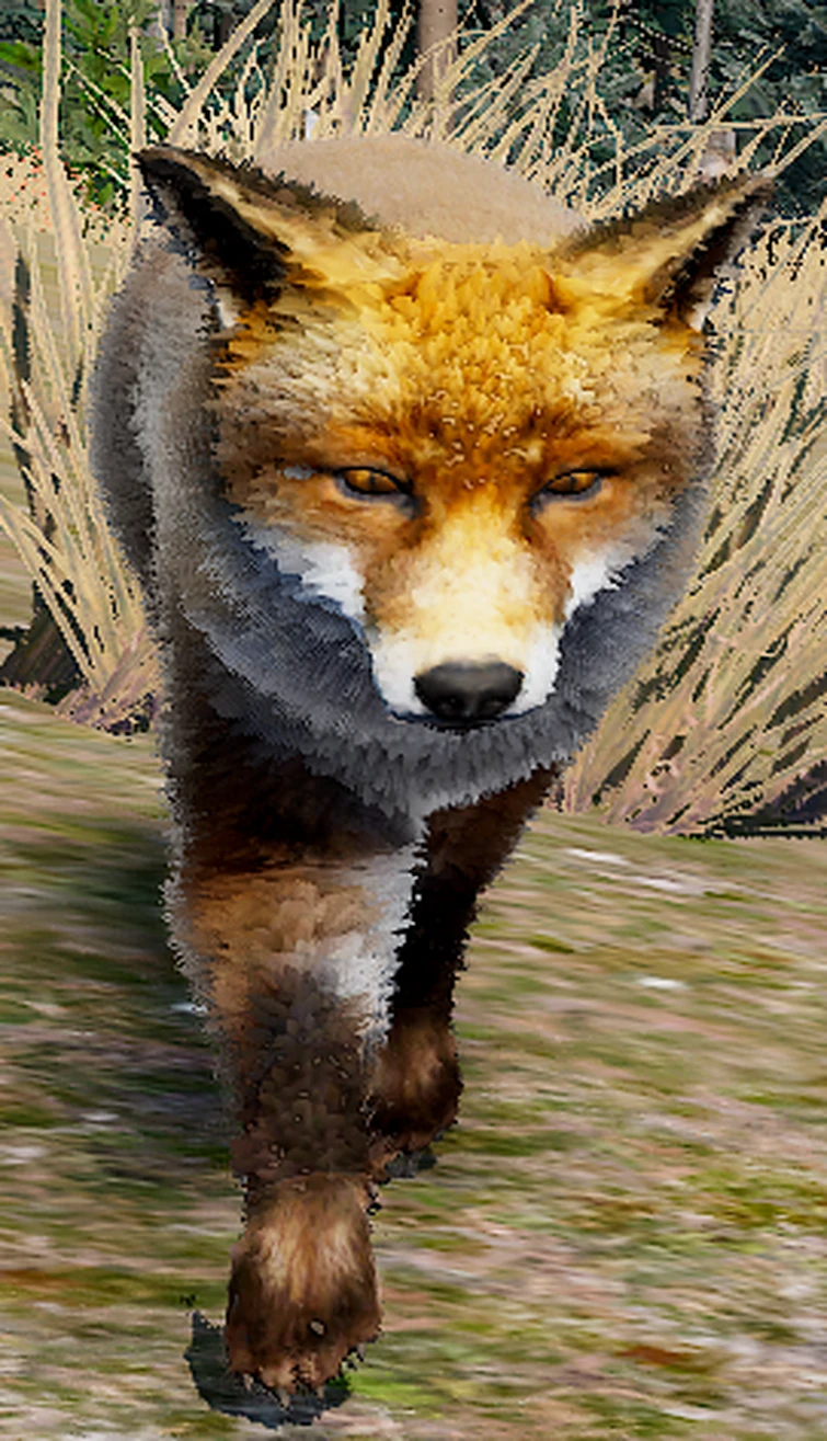 Discuss Everything About WolfQuest Wiki | Fandom