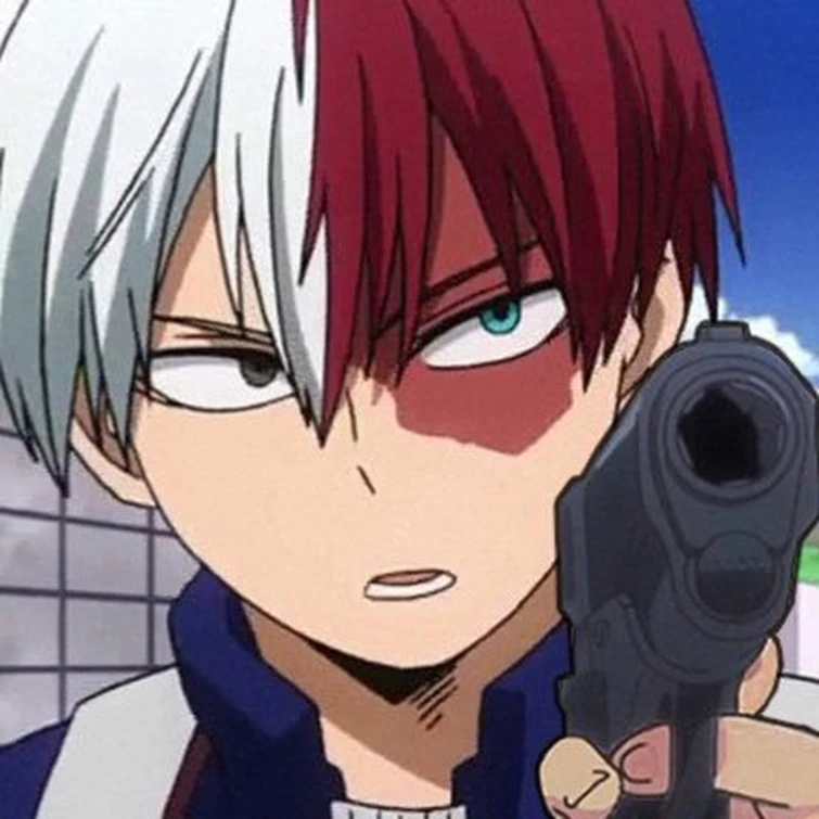 Shooto Todoroki | Fandom