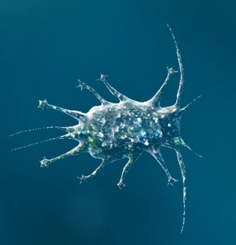 *weird microscopic creature noises* - 🔬🧫🪲 | Fandom