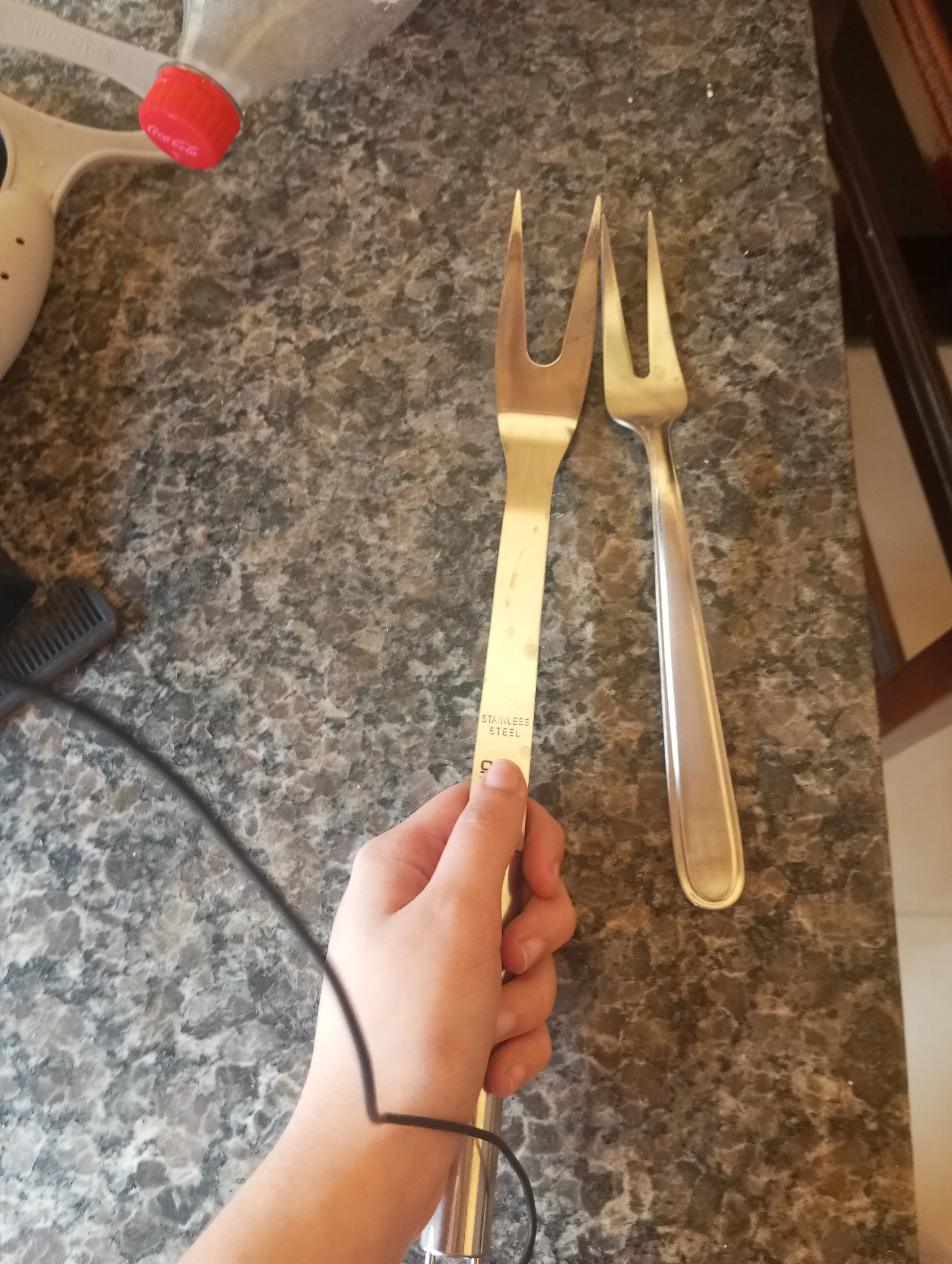 Big fork(s) | Fandom