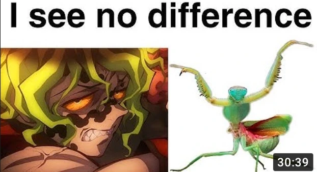 Is there a difference or not | Fandom