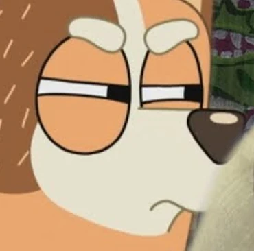 In Honor Of My Excitement For New Bluey, I'm Updating My Profile ...