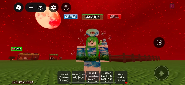 i miss old gag and yes i mean before the whole steal a brainrot shit ...