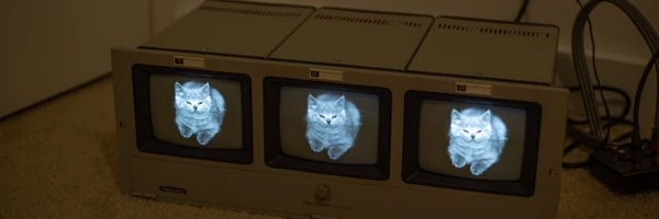 Doors twitter uhh idk how to say this | Fandom