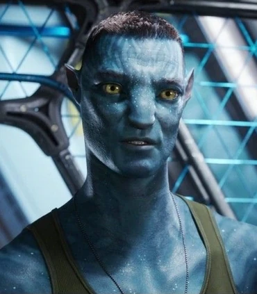 Jake Sully VS Miles Quaritch | Fandom