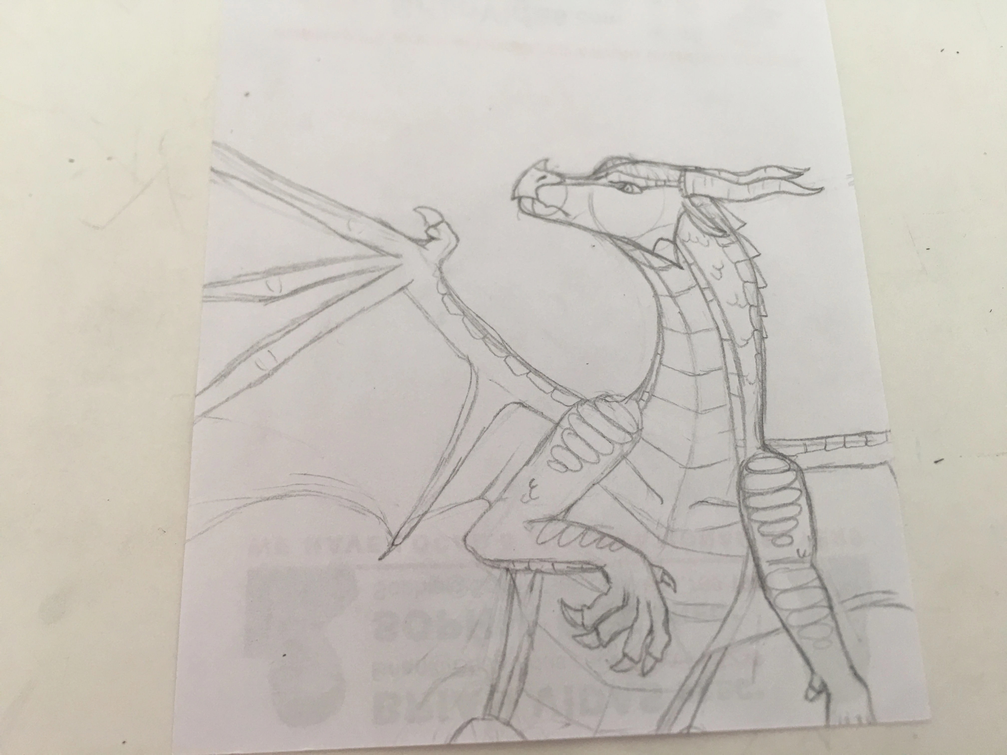 SkyWing drawing | Fandom