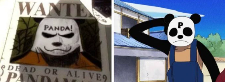 What is Panda Man? | Fandom