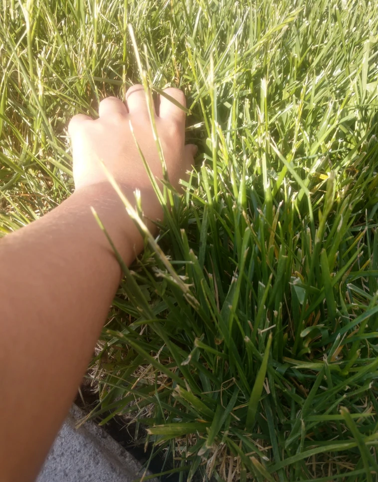 do you touch grass | Fandom