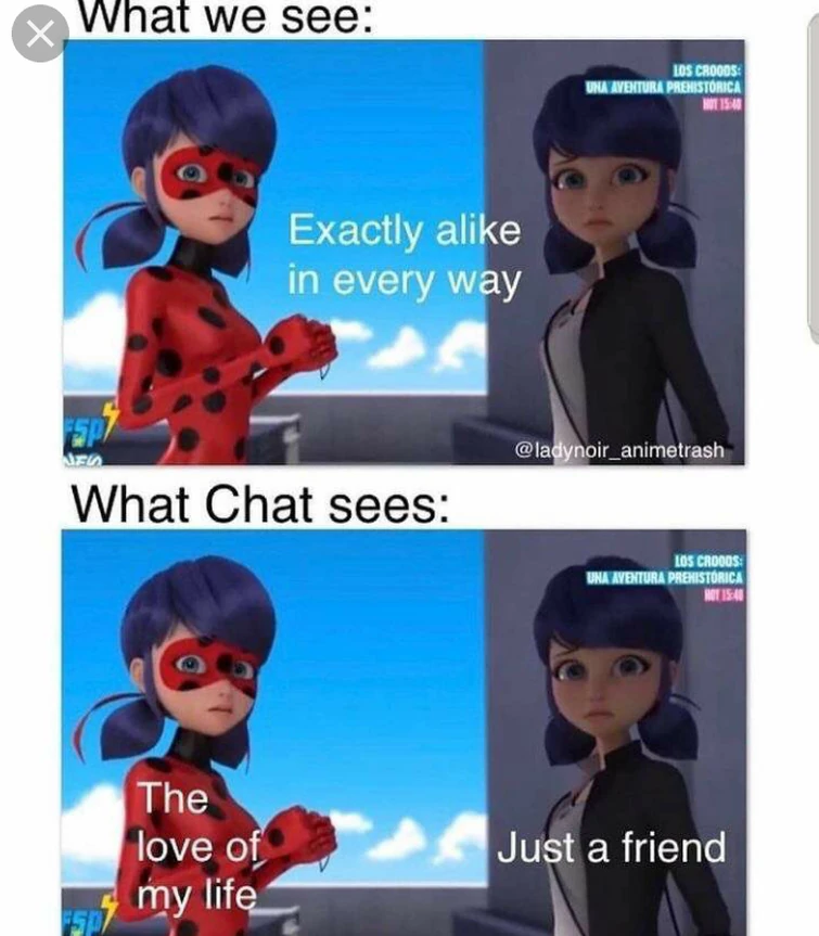 There is some meme | Fandom