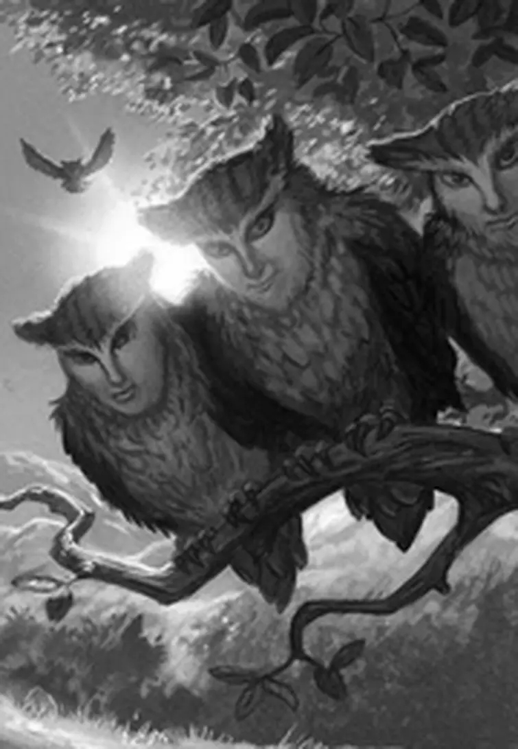 Something I realized | Fandom