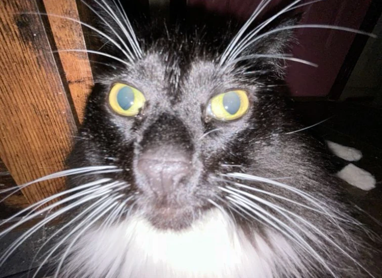 PLS I JUST WANTED TO TAKE A PIC WHY IS IT SPINNING | Fandom