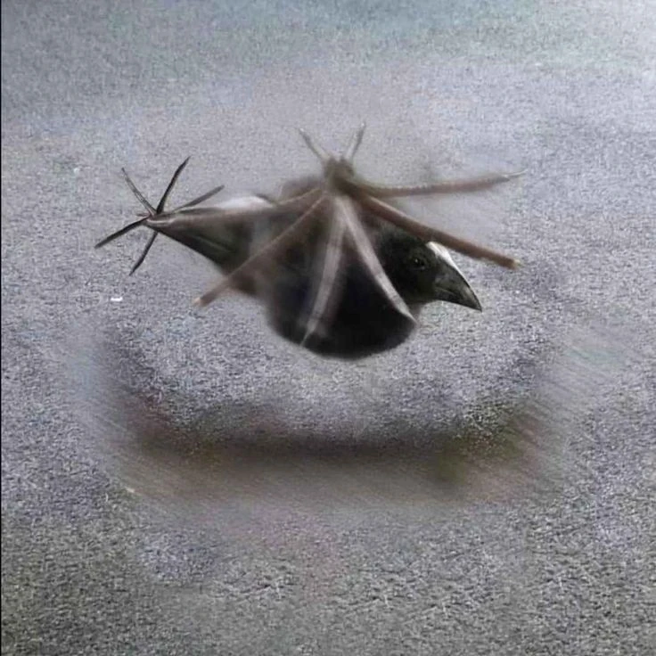 AVIATION!!!! | Fandom