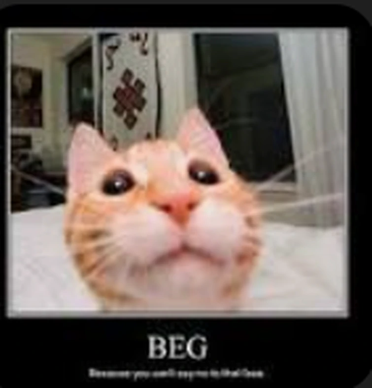 Pick me a new pfp | Fandom