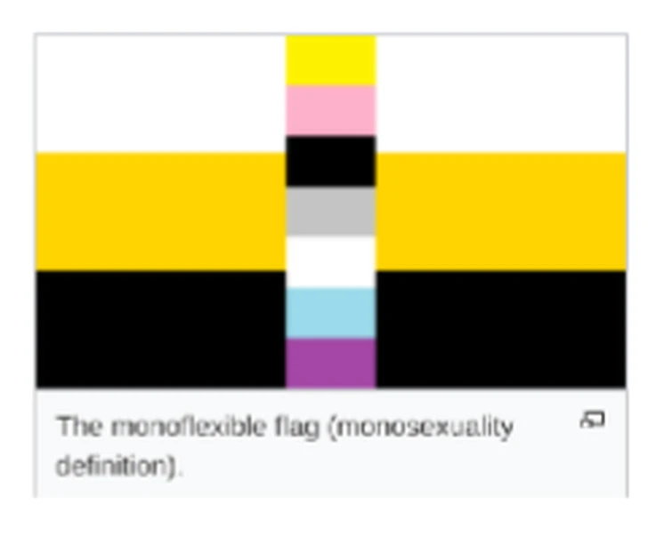 What are your LGBTQIA+ flags? | Fandom