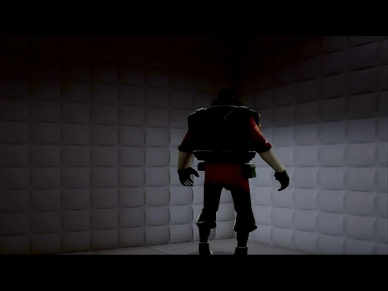 the collection | Fandom