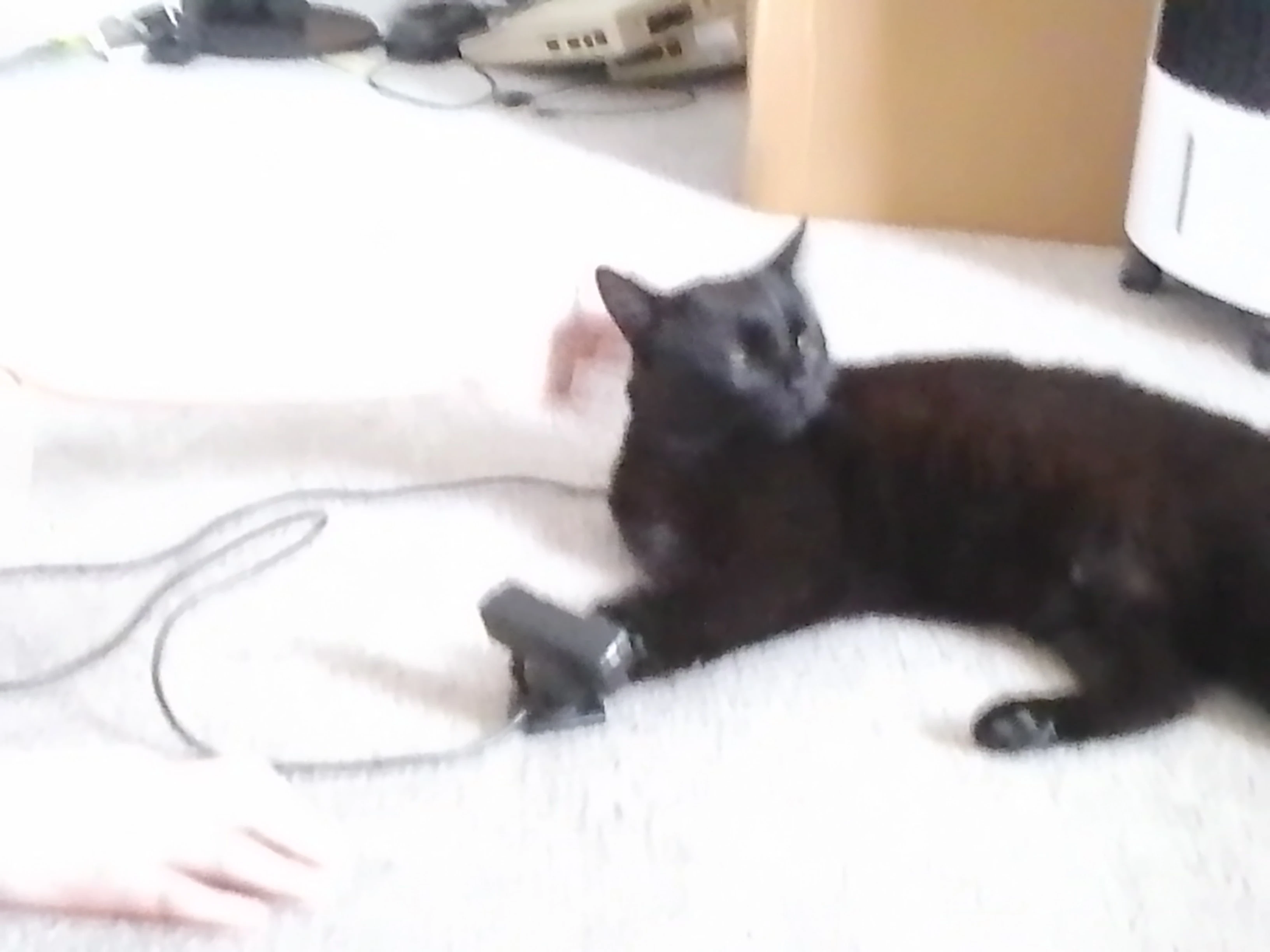 When you wanna hunt an NPC but the host of the hunt threatens to kick ...