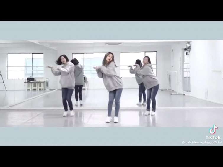 Discuss Everything About Catch! Teenieping Wiki | Fandom