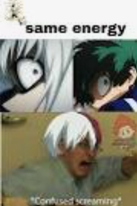 MHA wiki fandom in a nutshell | Fandom