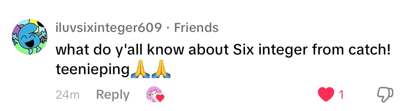 what do y'all know about Six integer from catch! teenieping🙏🙏 | Fandom
