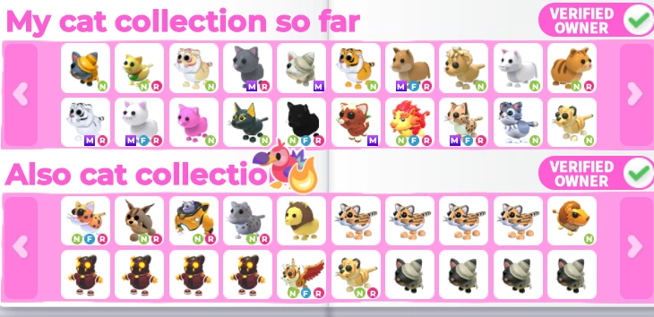 trading cat collection or smth | Fandom