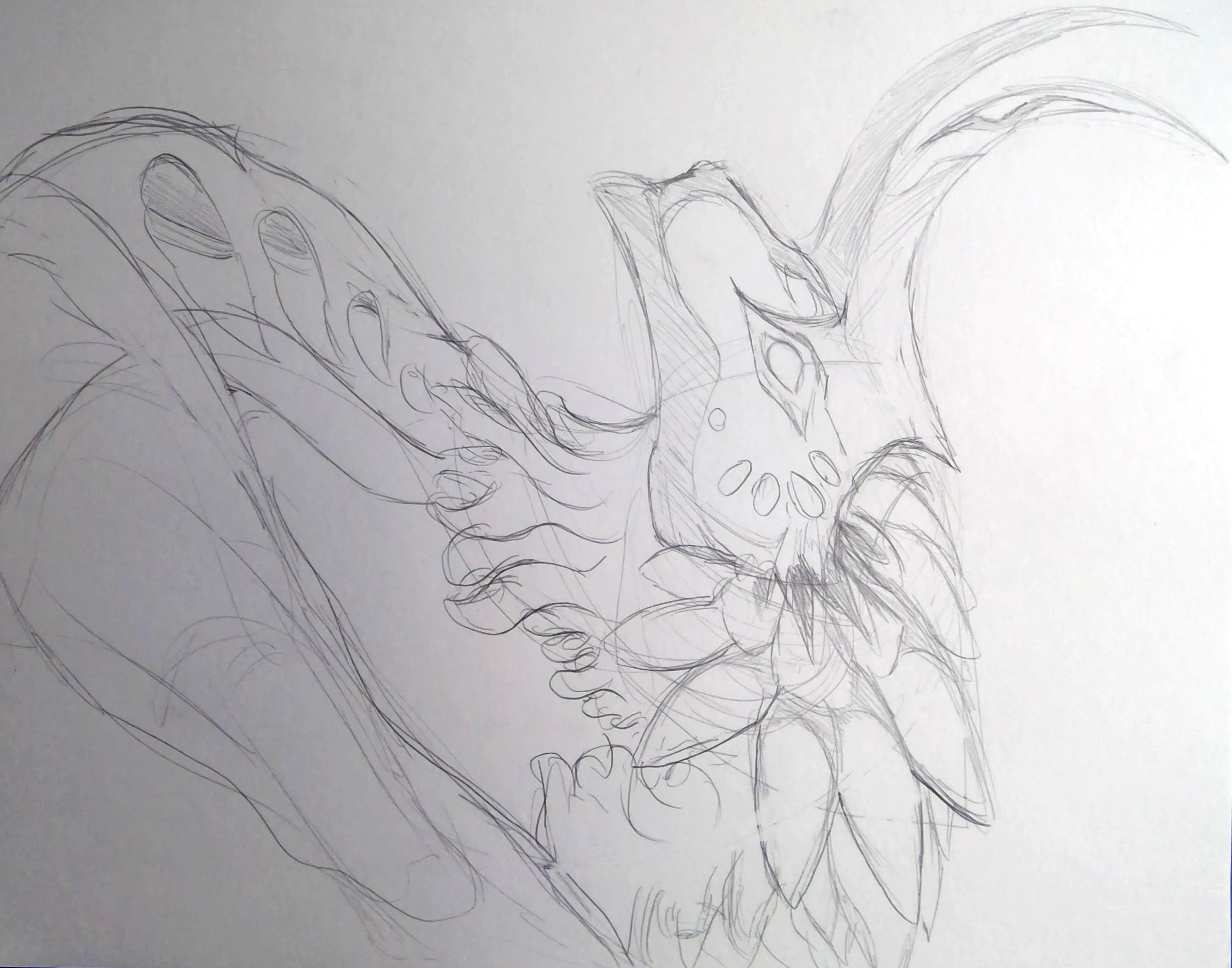 Vaumora Sketch | Fandom