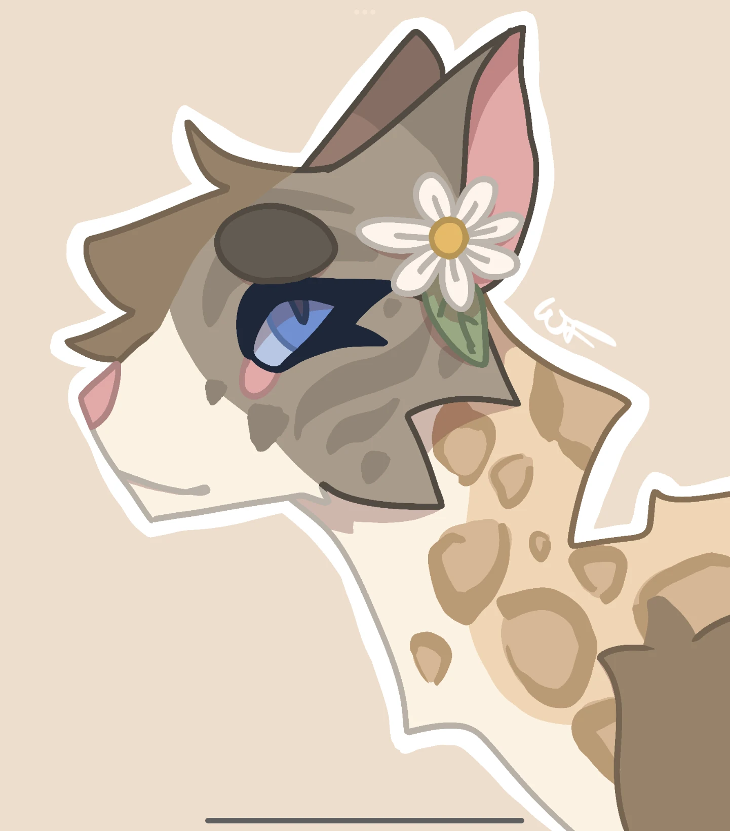 new cat oc! | Fandom