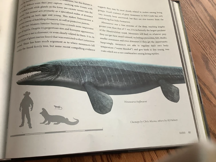 Got the saurian book a few days ago | Fandom