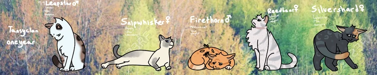 whaaaaaaaaaaat? | Fandom