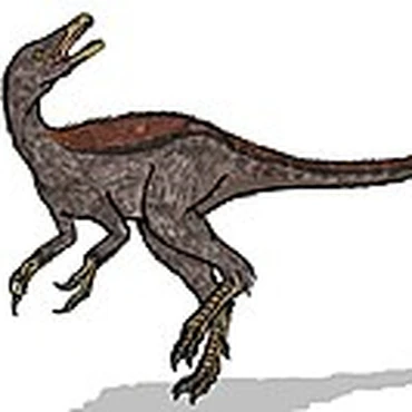 Discuss Everything About Dinopedia | Fandom