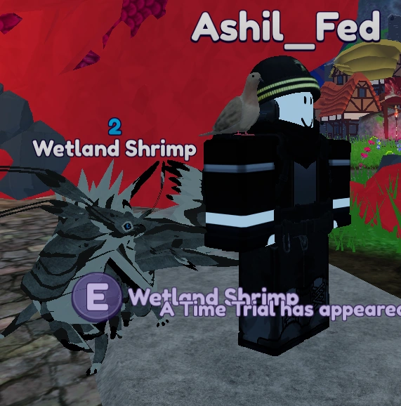 i finally got shrimp :) | Fandom