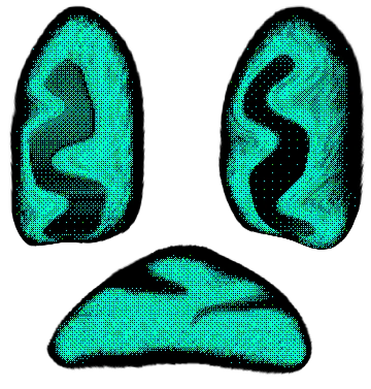 Ae dash won variant I made for fun | Fandom