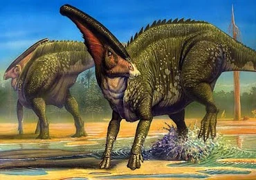Discuss Everything About Dinopedia | Fandom