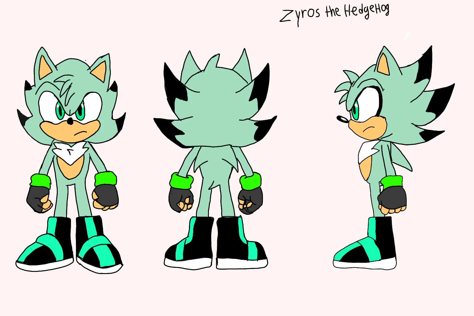 Reference sheet of my Sonic OC. What do you think? About a model of my ...