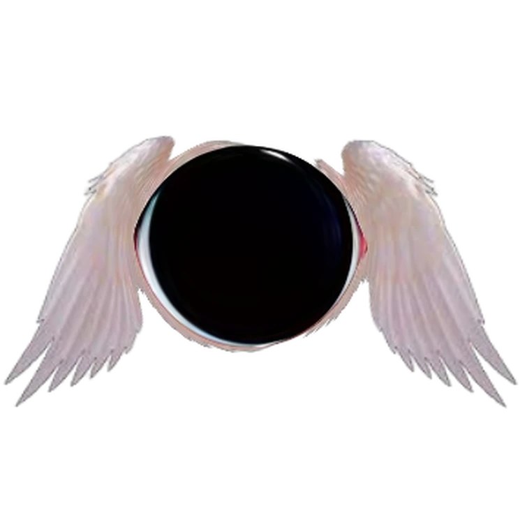 Discuss Everything About Aesthetics Wiki | Fandom