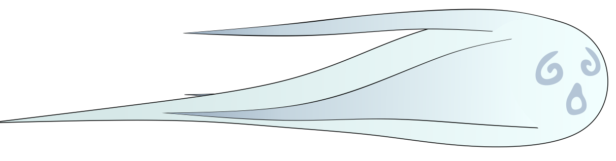 IDK Windy Bee | Fandom