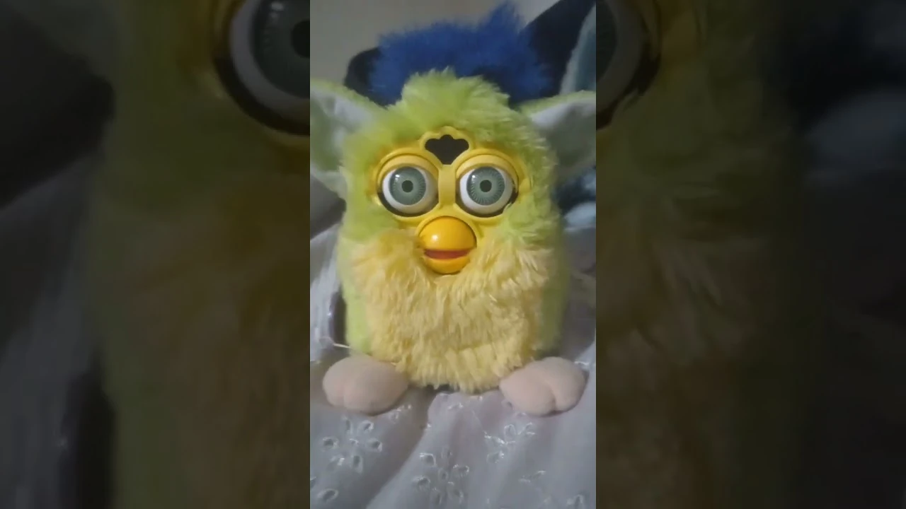 Here's my 1998 Original Furby | Fandom